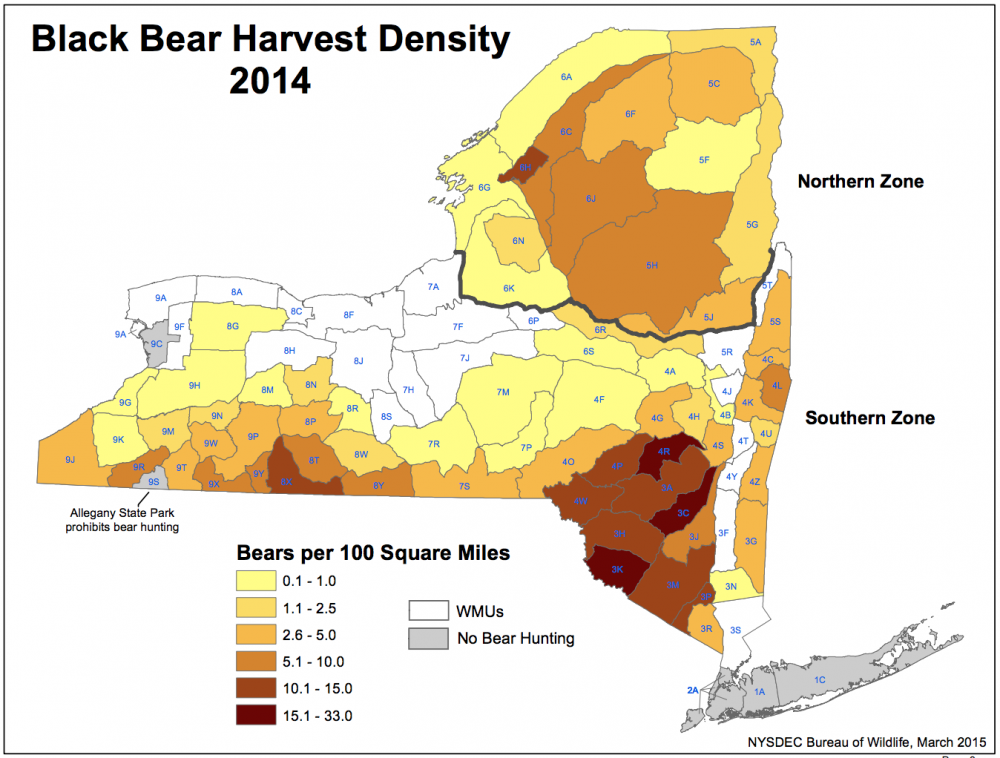 Early season leads to record bear hunt in southern New York | Watershed Post